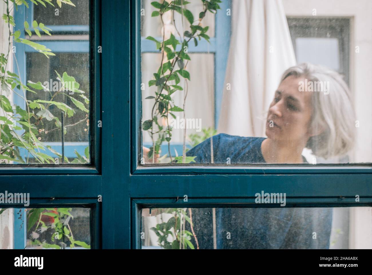 View through the window of woman on balcony looking at decorative vine ...