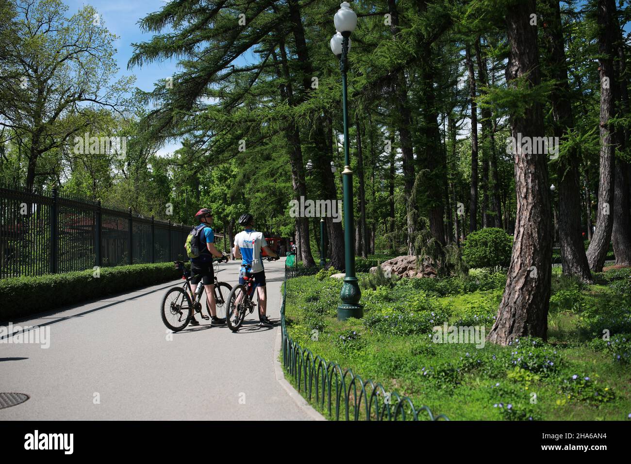 beautiful large green park with many trees and flora Stock Photo - Alamy