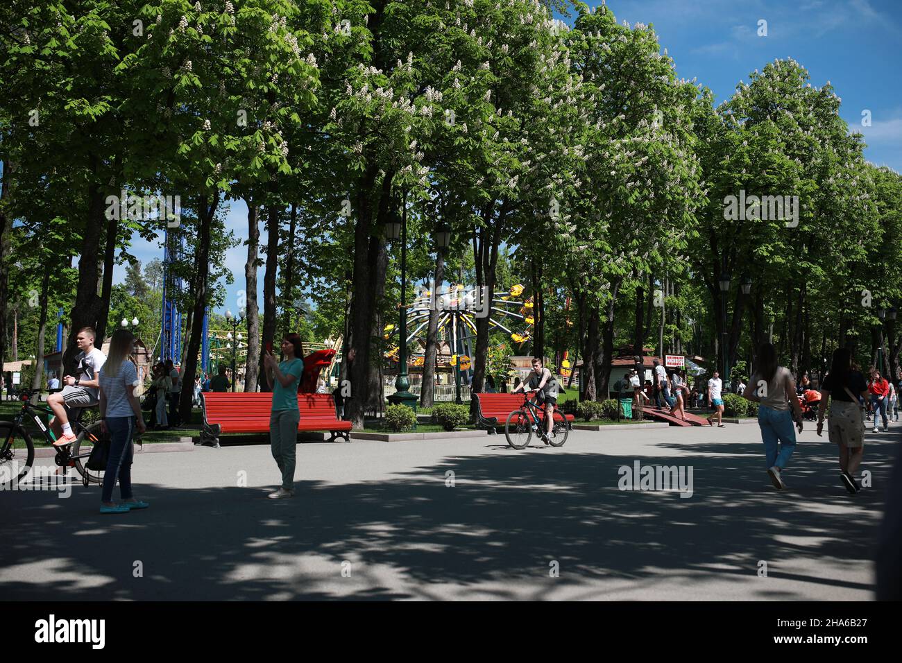 beautiful large green park with many trees and flora Stock Photo - Alamy