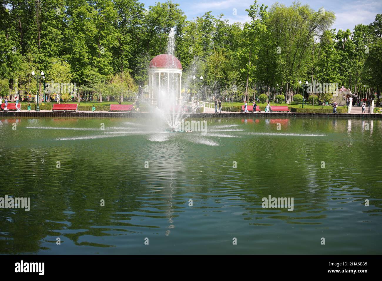 beautiful large green park with many trees and flora Stock Photo - Alamy