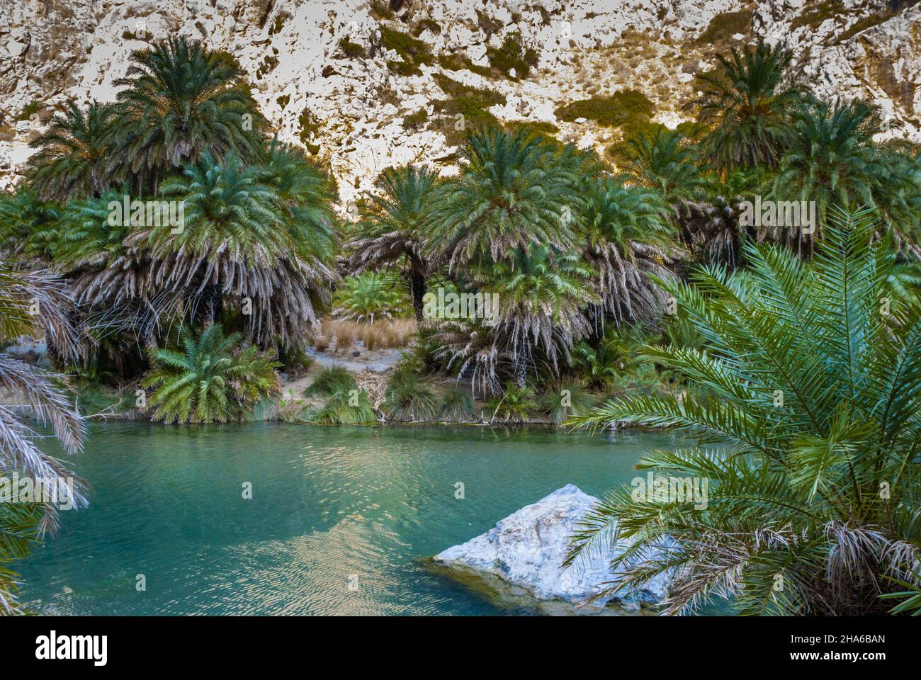 River, palm trees against the mountains, Preveli, Crete, Greece Stock ...