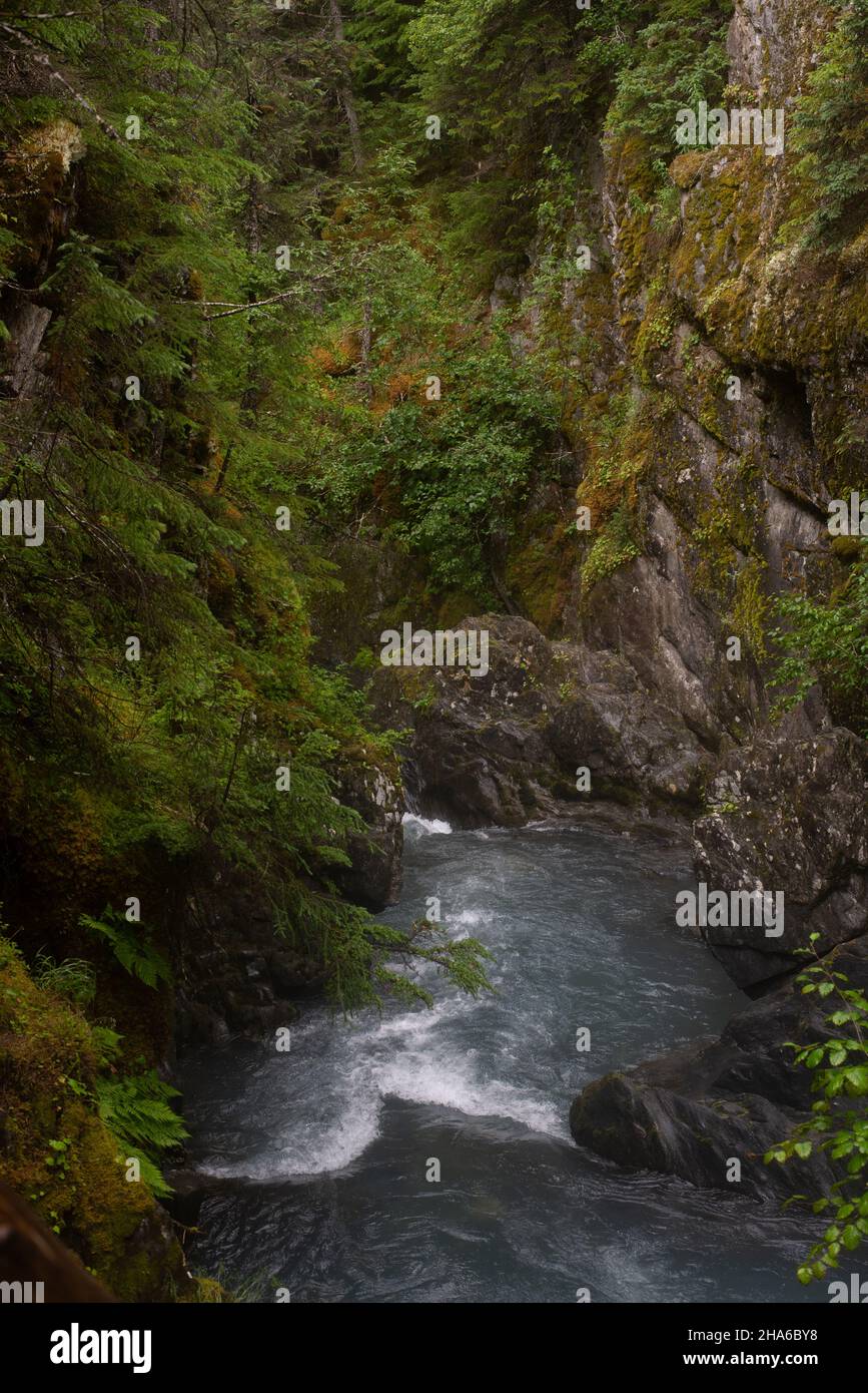 River in a forest landscape surrounding Anchorage, Alaska Stock Photo ...