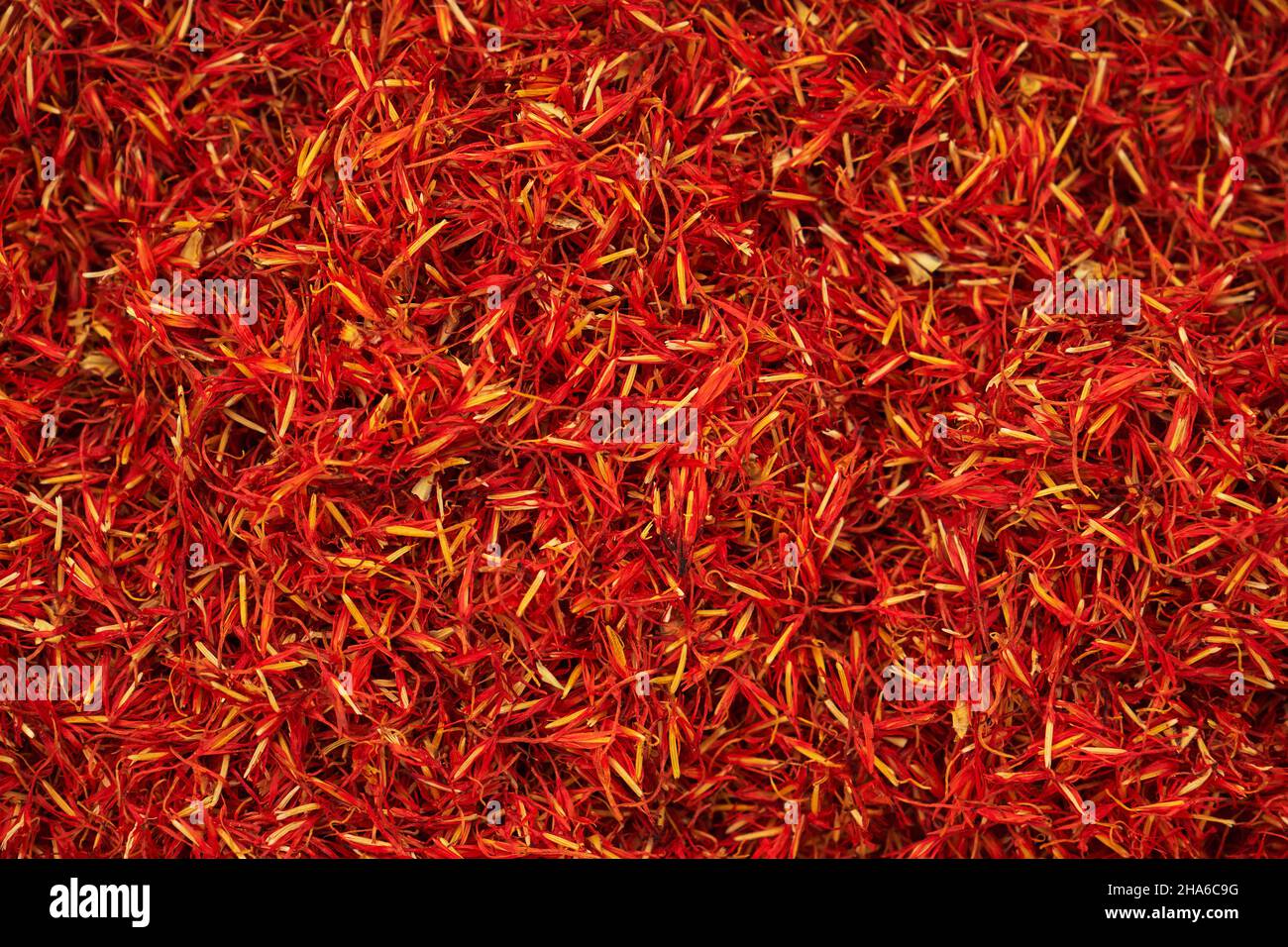 Safflower (Carthamus tinctorius) also known as bastard saffron dry red ...