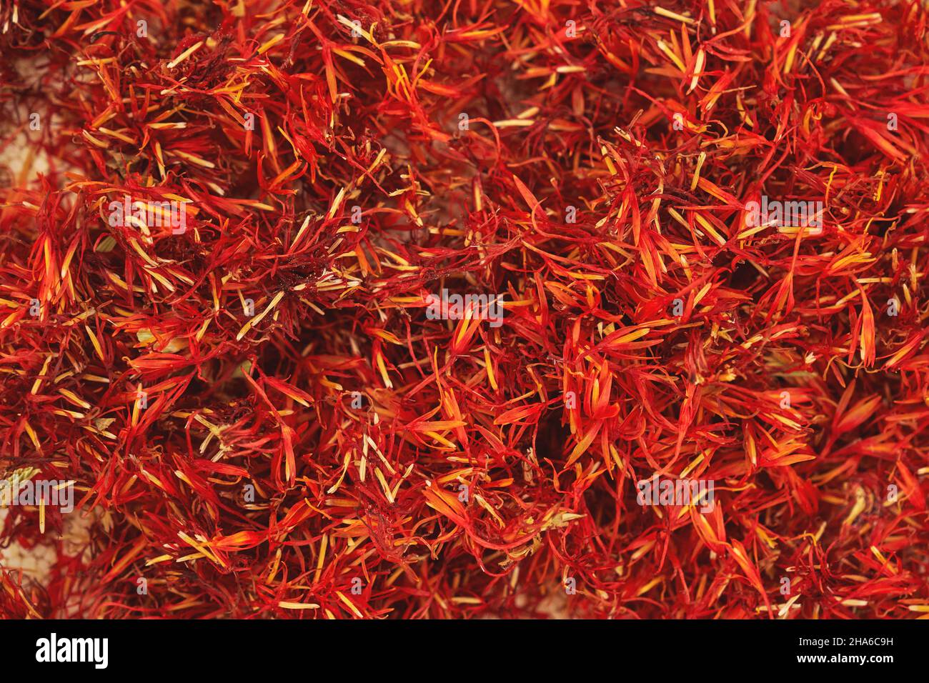 Safflower (Carthamus tinctorius) also known as bastard saffron dry red ...