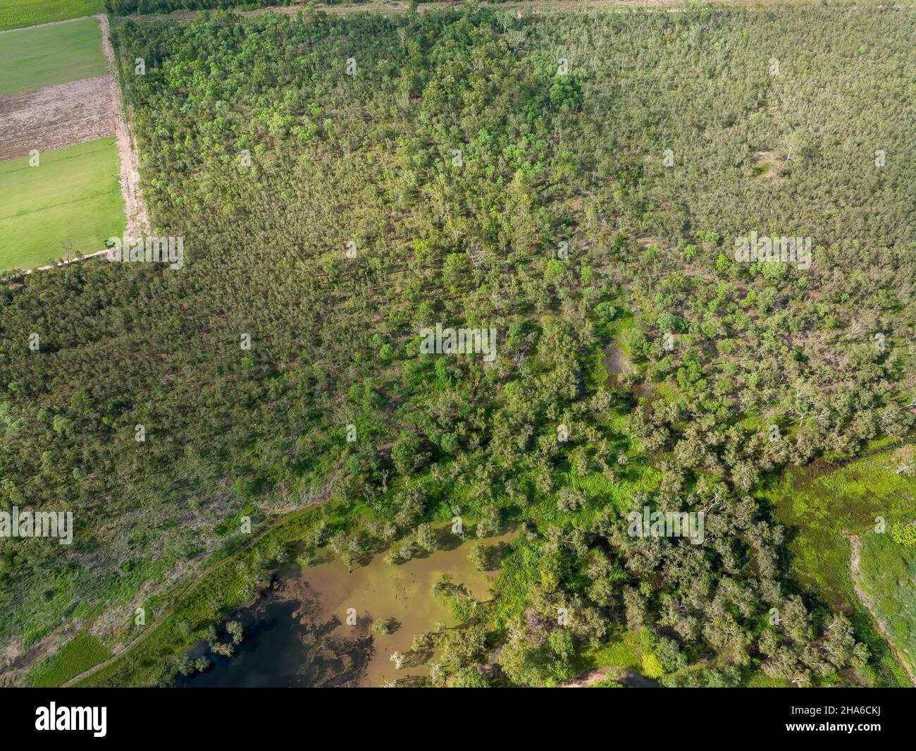 Drone top down view onto native bushland surrounding a wildlife reserve ...