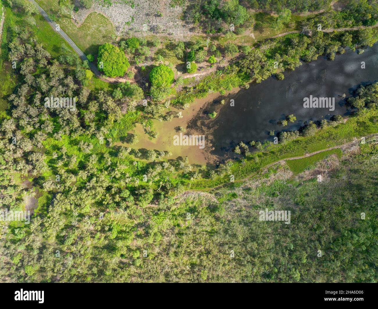 Top down view onto native vegetation on the banks of a wildlife reserve ...
