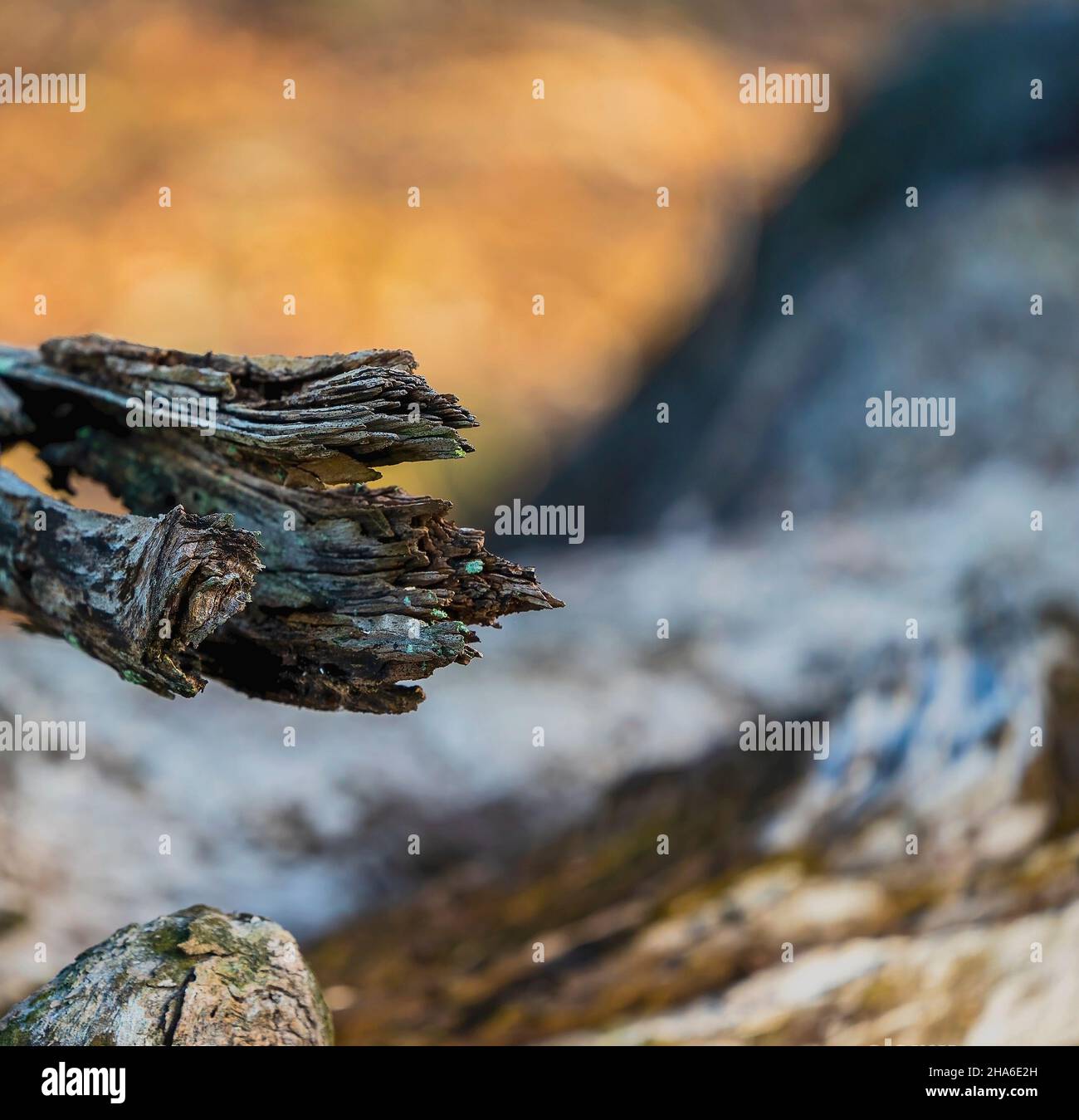 Burnt timber end hi-res stock photography and images - Alamy