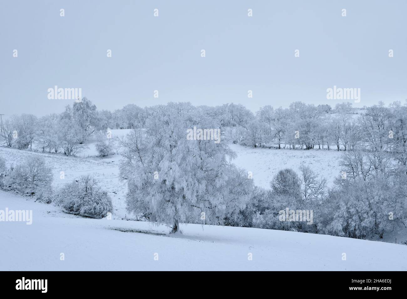 Frosty winter landscape after a snow storm in the countryside Stock ...