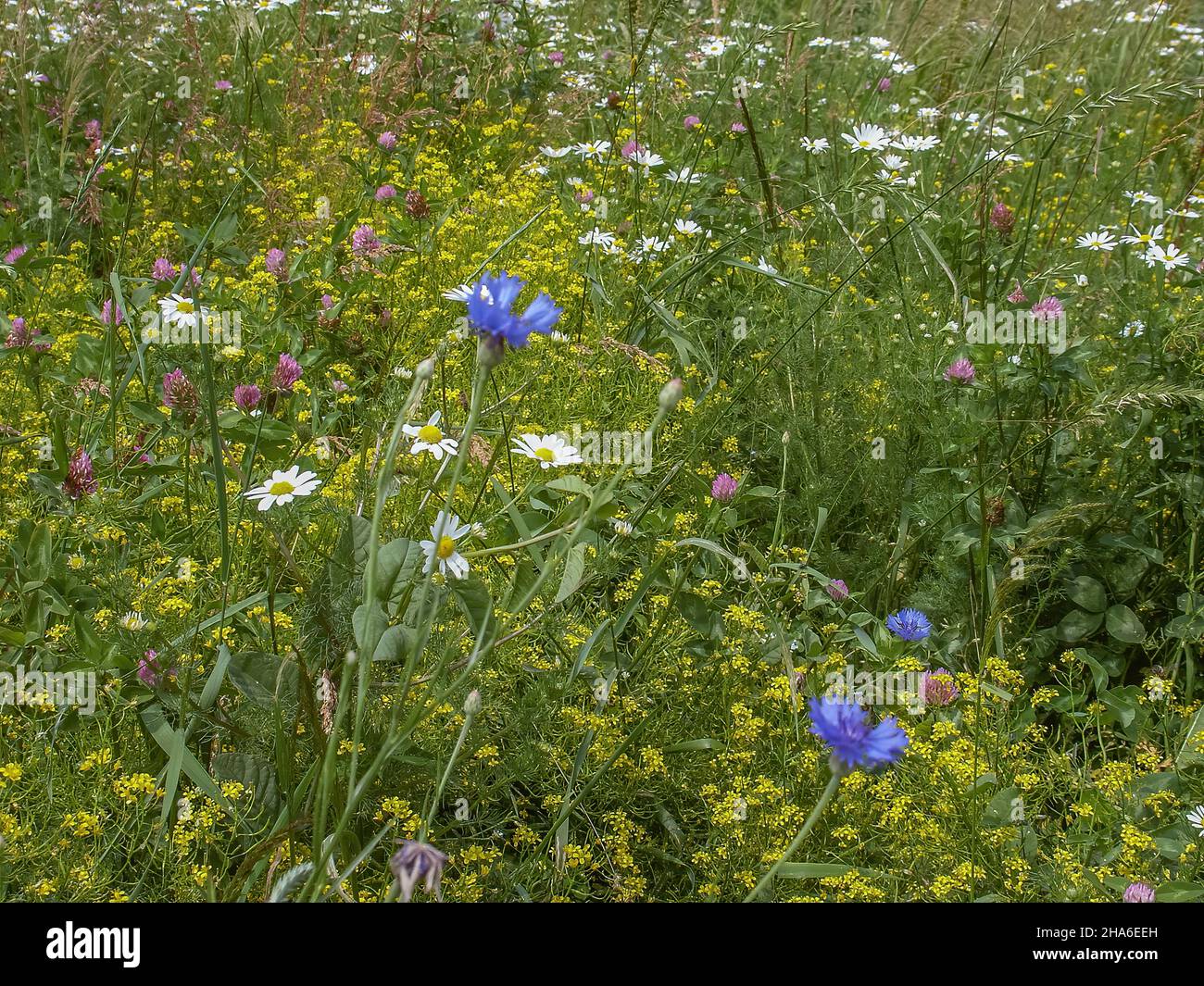 Backgrounds, useful tools for graphics works, Backgrounds, tools for ...