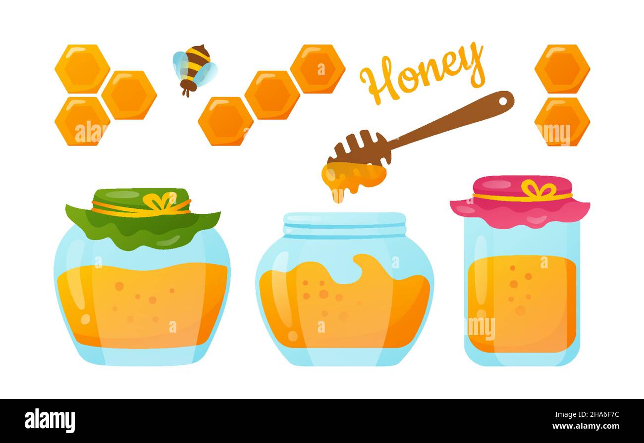 Honey in glass jar and bee, honeycomb eco set. Wooden honey dipper ...