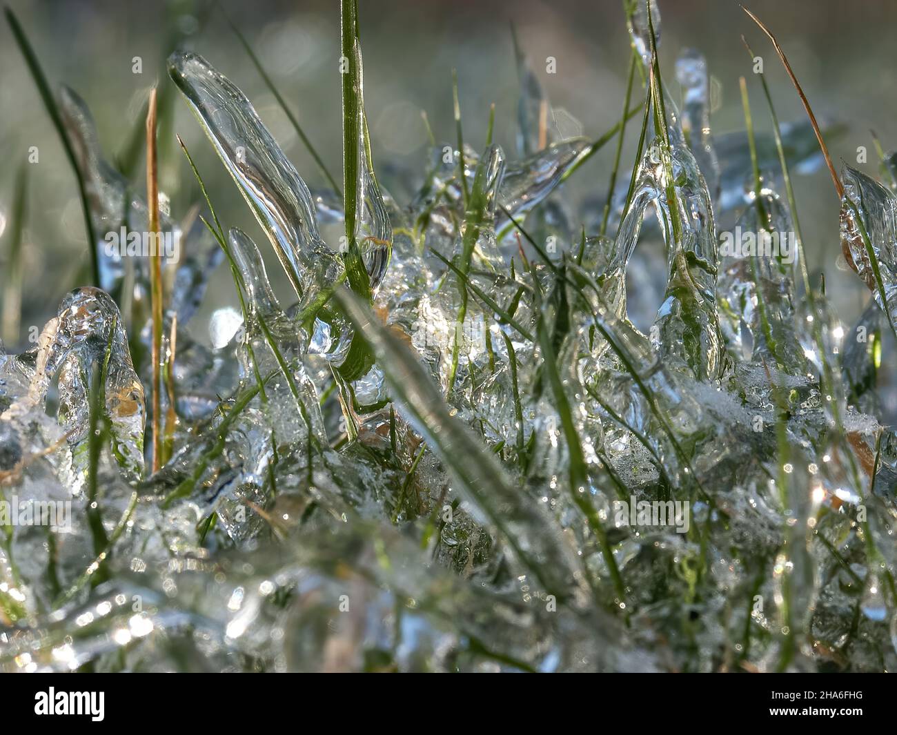 Amazing natural phenomena, close up photography, macrophotography, Icy ...