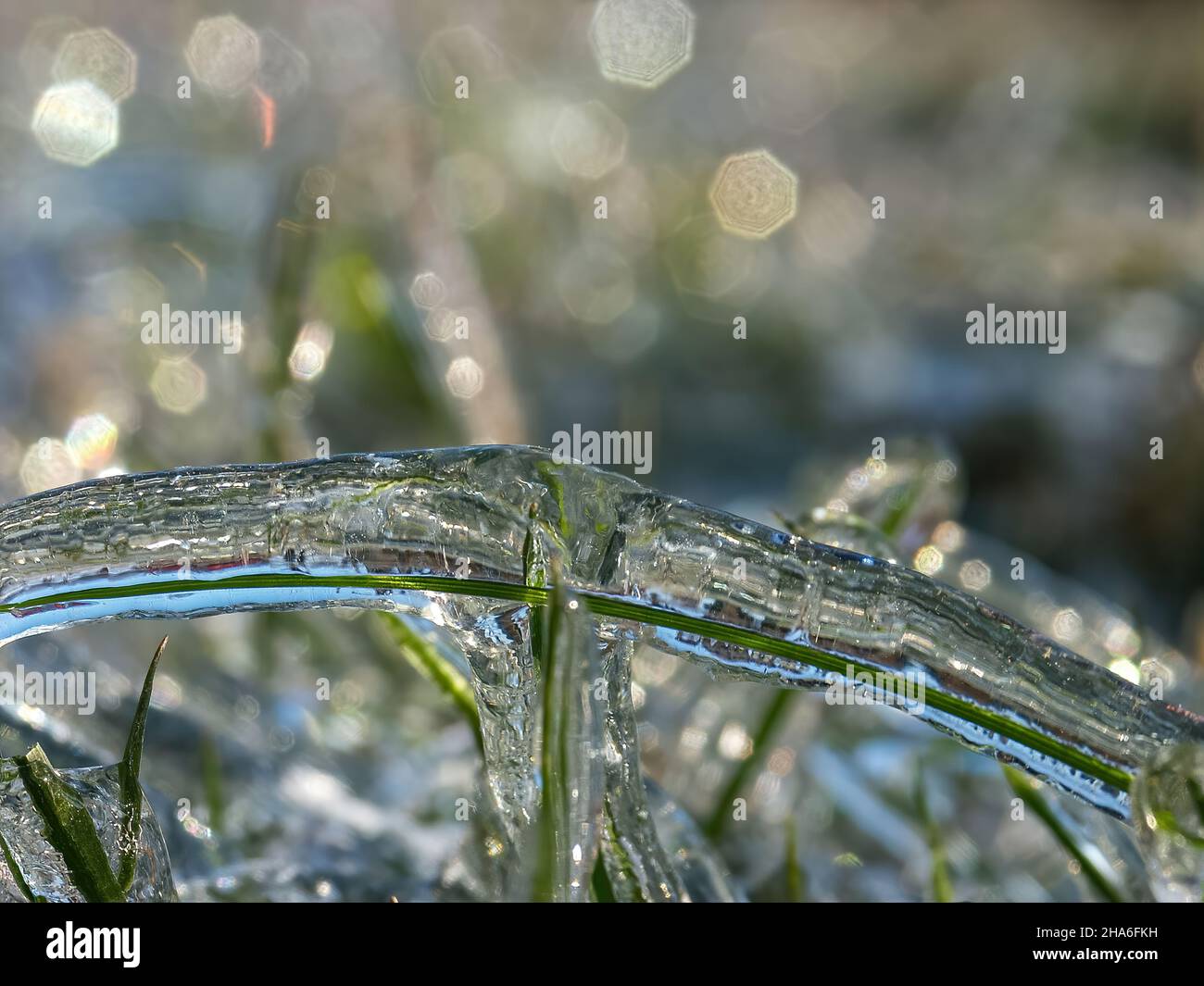 Amazing natural phenomena, close up photography, macrophotography, Icy ...