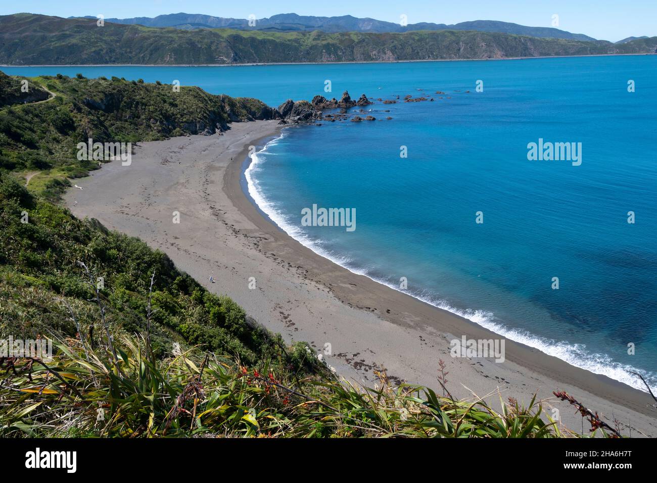 Breaker bay wellington new zealand hi-res stock photography and images ...
