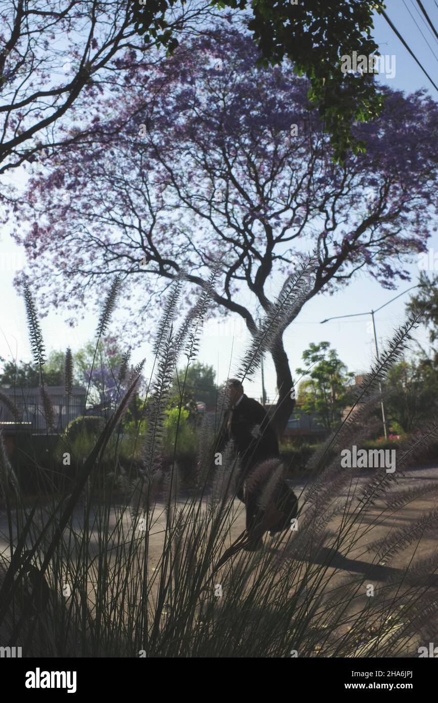 Color Street Photography Stock Photo - Alamy