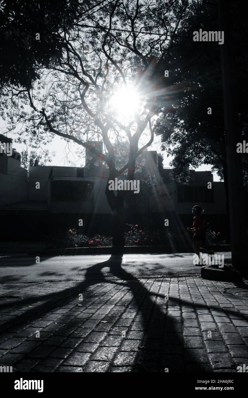 Color Street Photography Stock Photo - Alamy