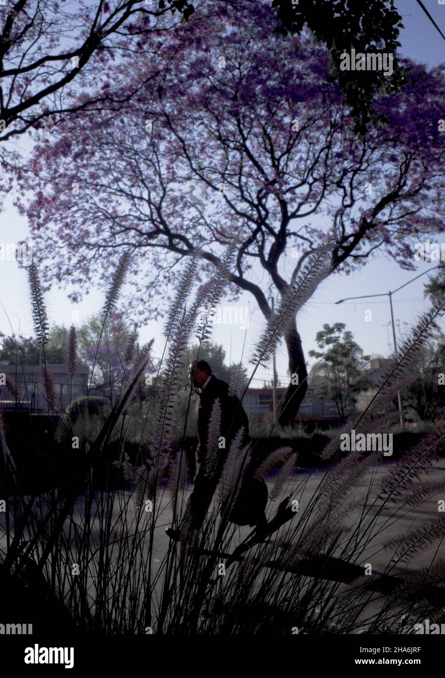 Color Street Photography Stock Photo - Alamy