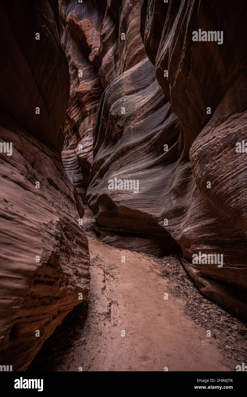 Tight Left Turn Eroded Into Smooth Stone Pathway Through Buckskin Gulch ...