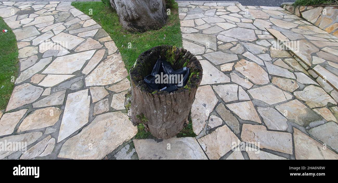 tree trunk used as trash can Stock Photo - Alamy