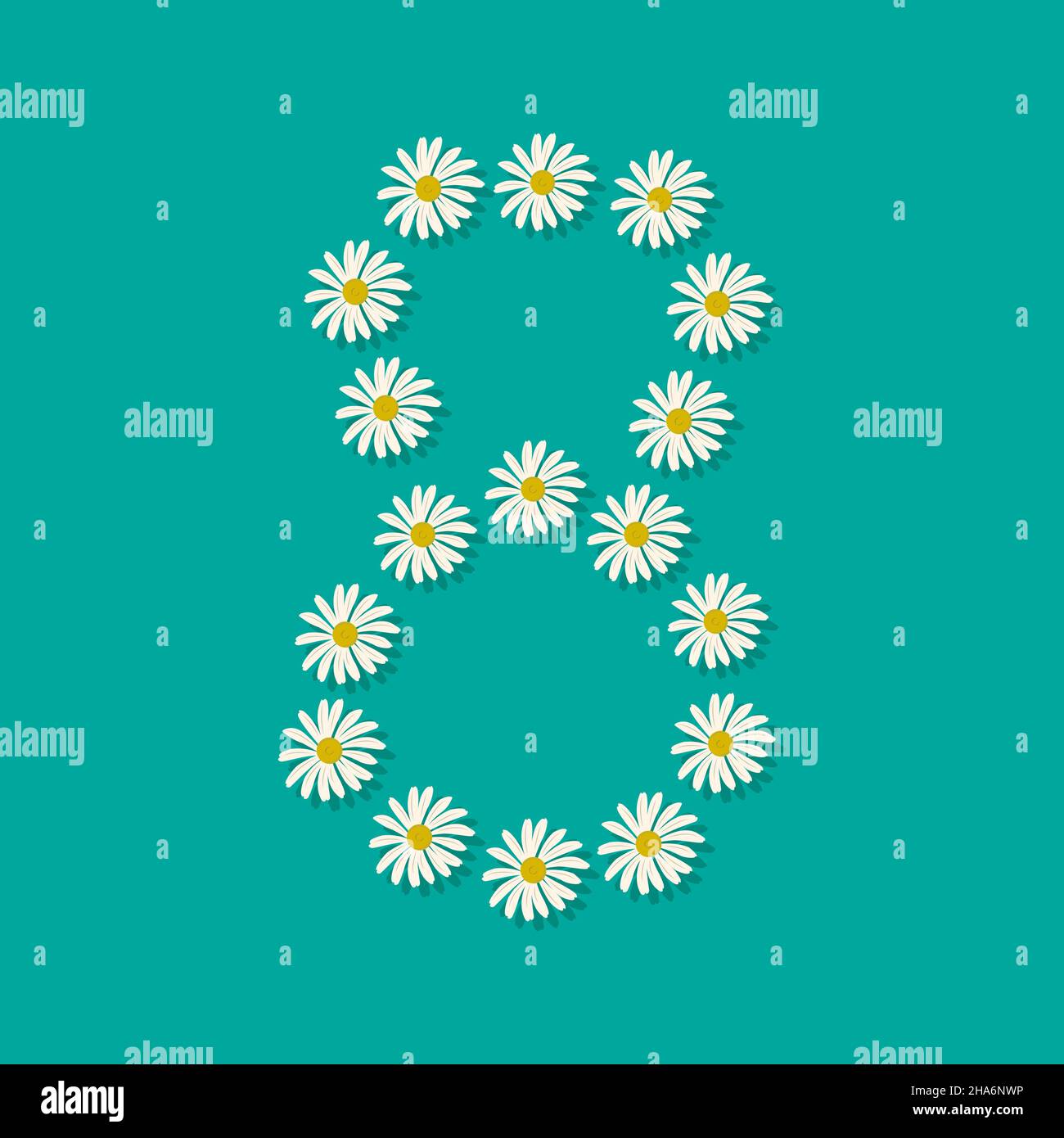 Number eight from white chamomile flowers. Festive font or decoration ...