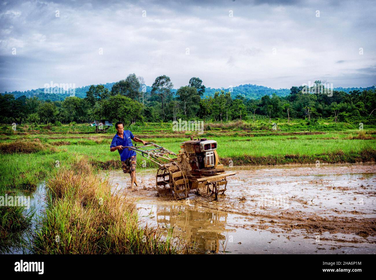 Hand plough hi-res stock photography and images - Alamy