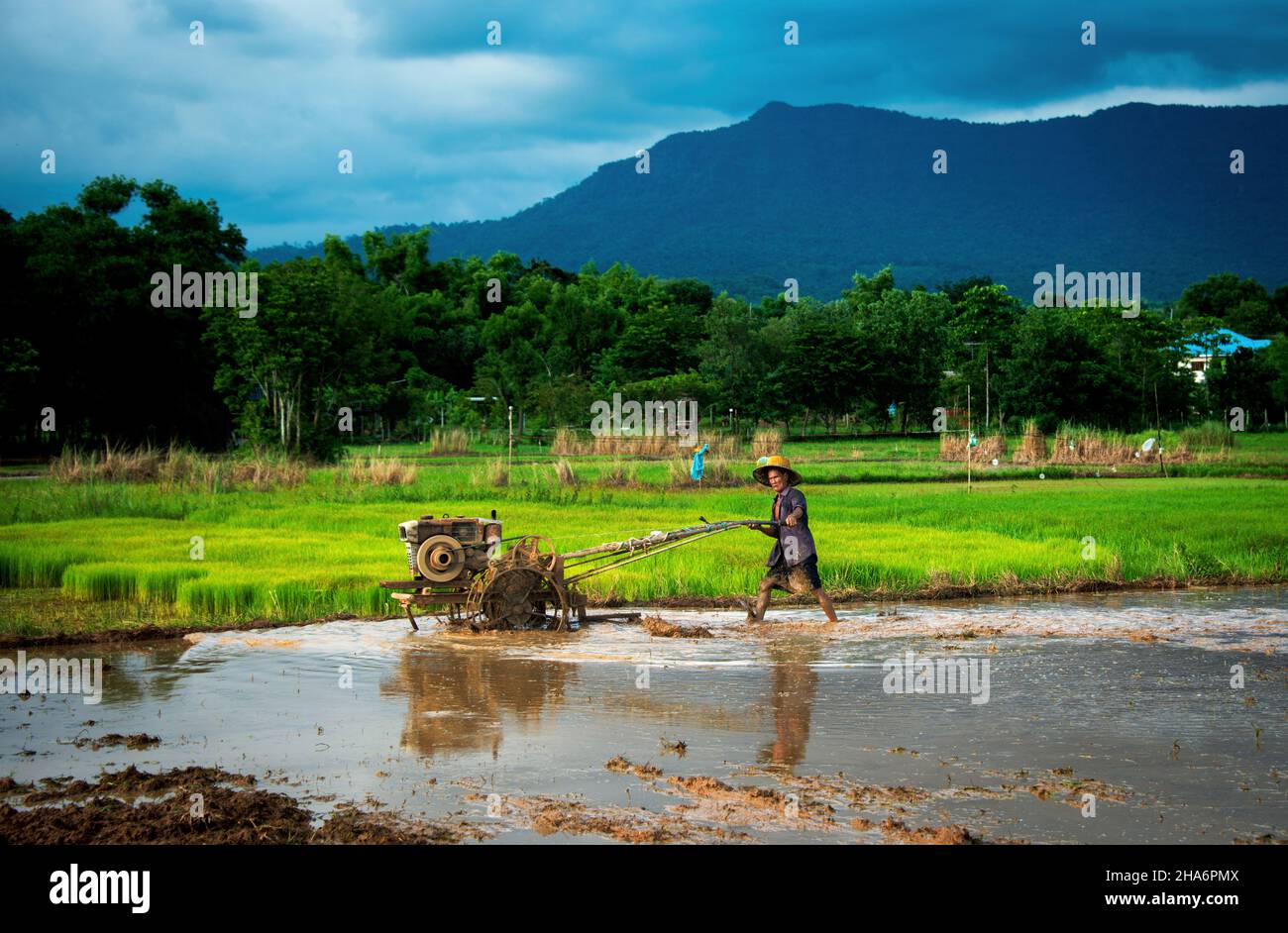 Farmer hand plowing field hi-res stock photography and images - Alamy