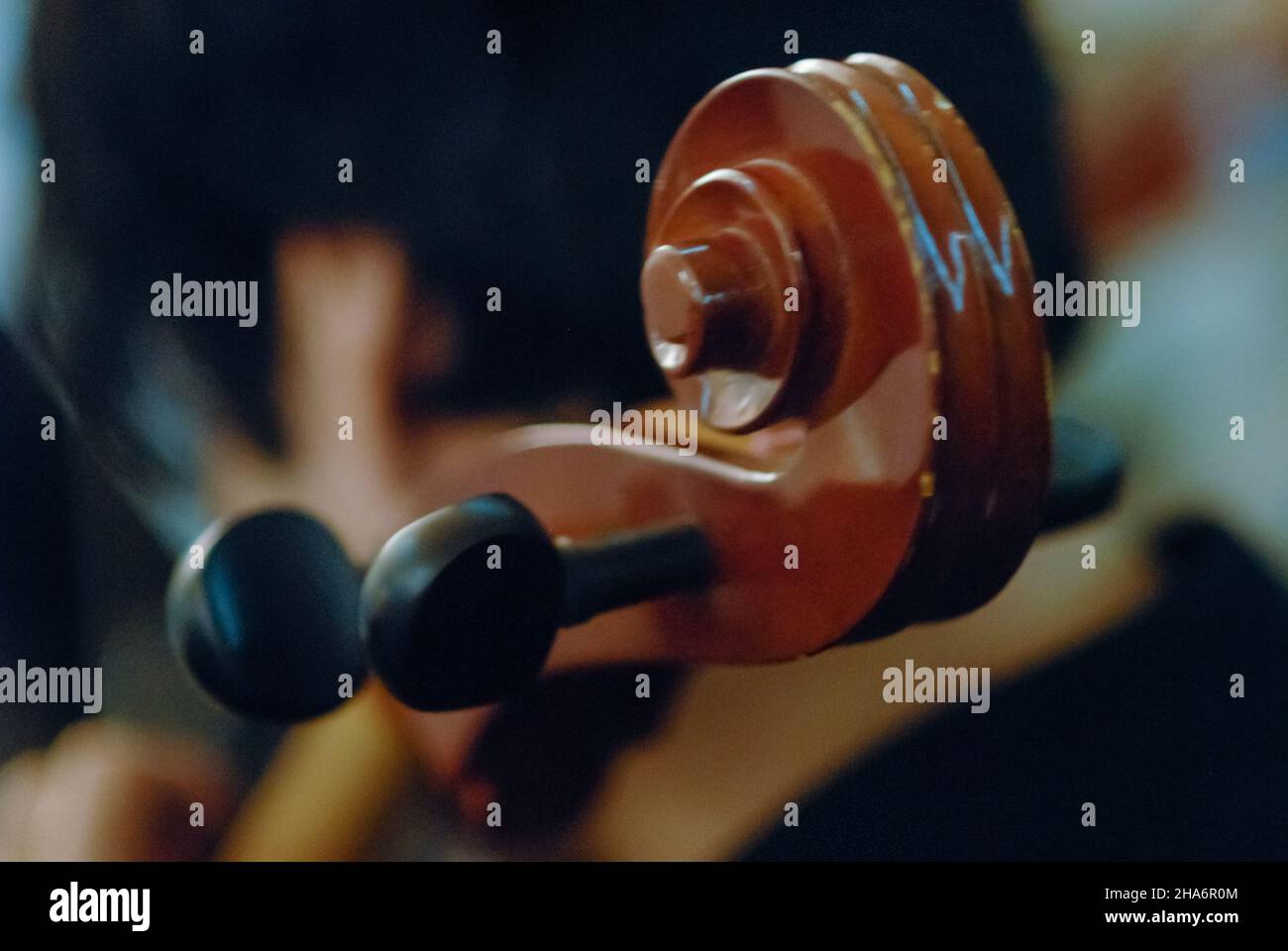 beautiful detail of a viola Stock Photo - Alamy