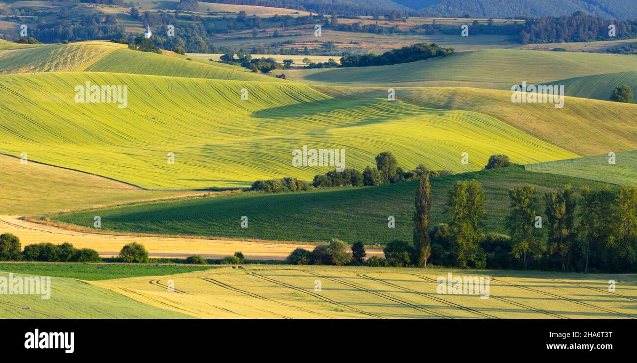 Trees in the fields of Turiec region in northern Slovakia Stock Photo ...