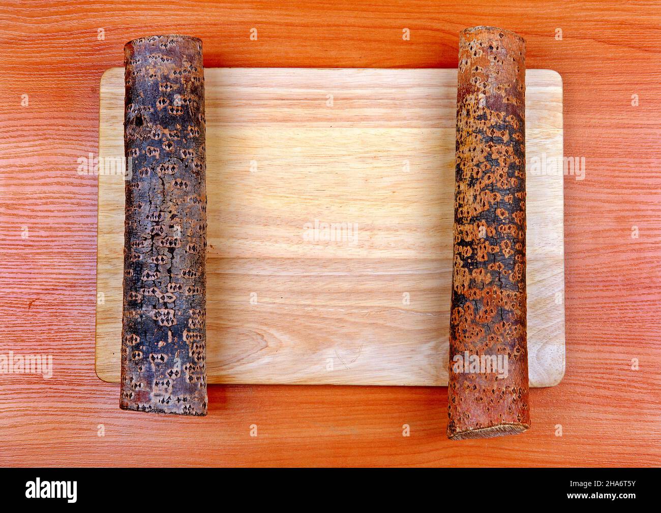 Two logs hi-res stock photography and images - Alamy