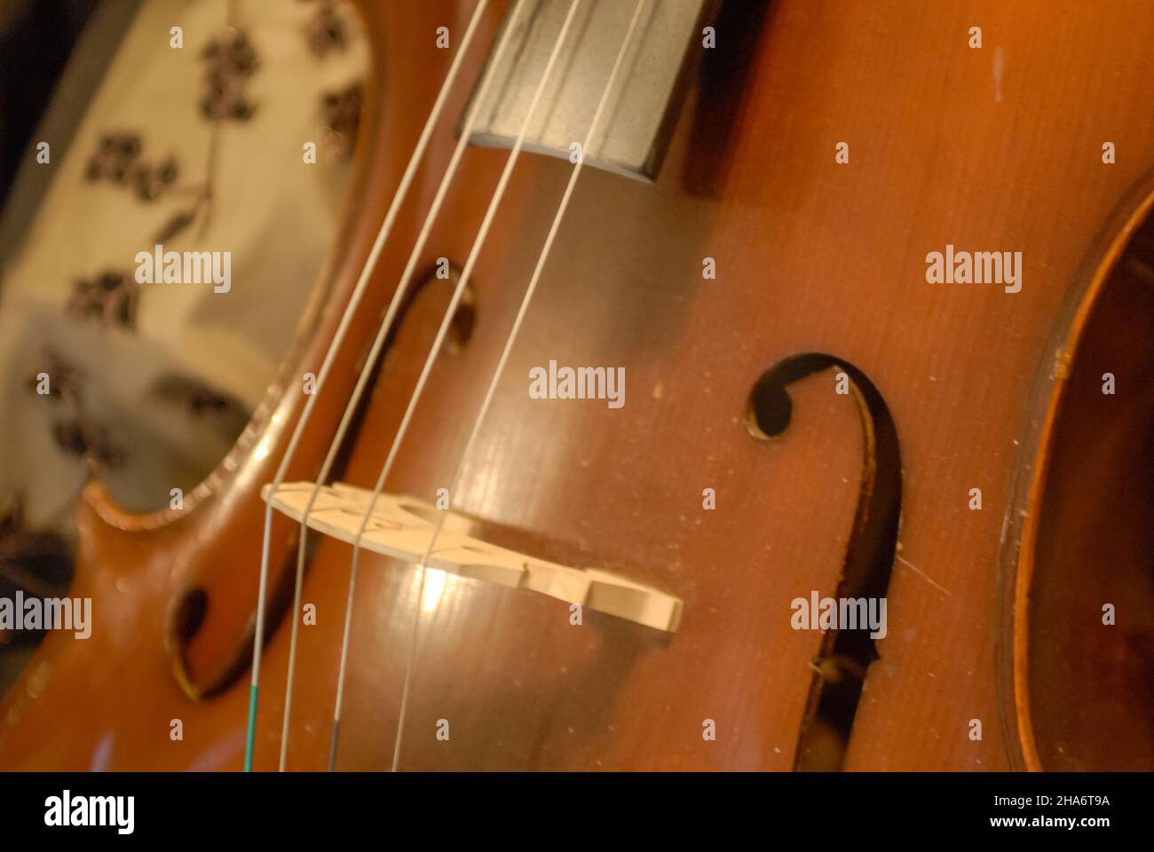 beautiful detail of a viola stringed instument Stock Photo - Alamy