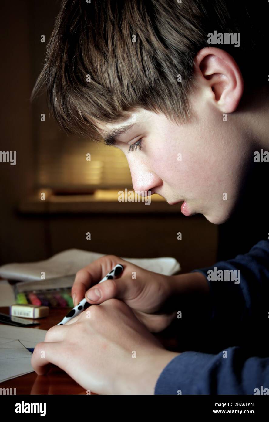 Teenage Boy doing Homework in the Home Room Stock Photo - Alamy
