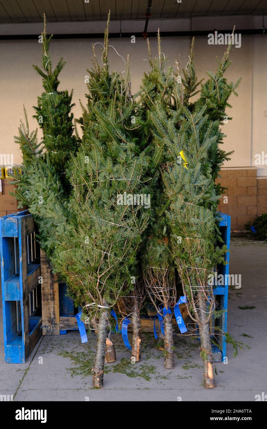 Display supermarket christmas hi-res stock photography and images - Alamy