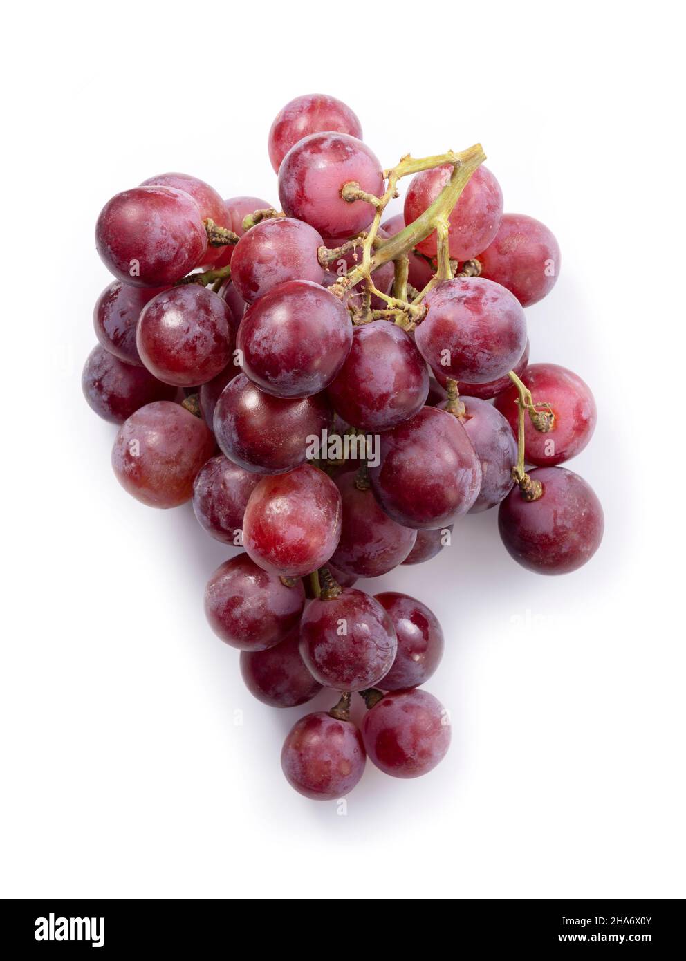 Red Globe (grape variety) placed on a white background. View from ...