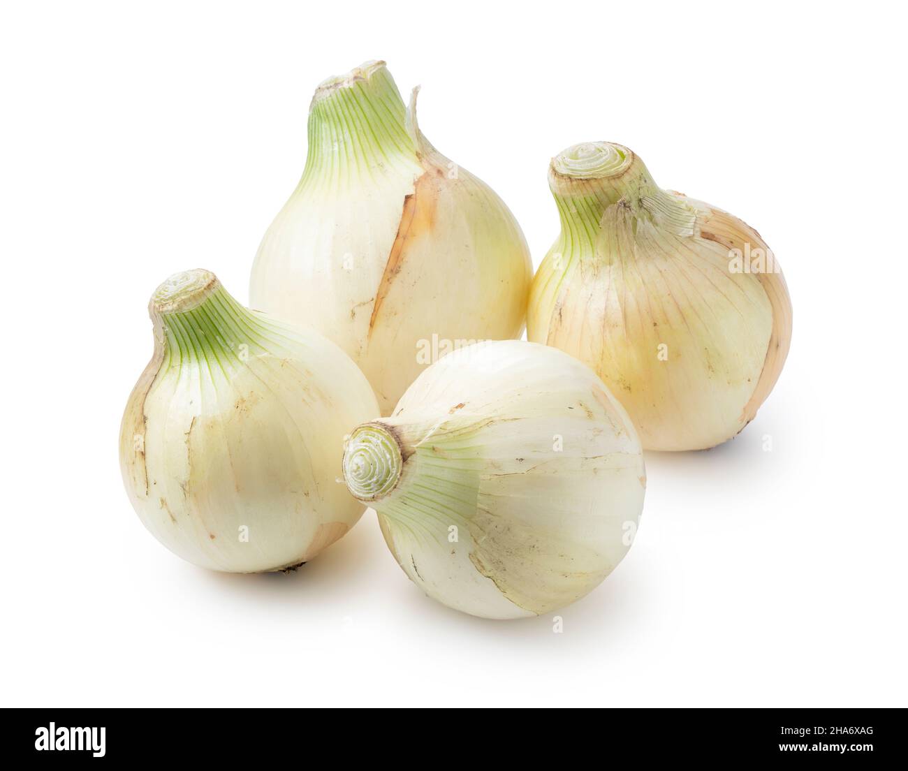 Four new onions on a white background Stock Photo - Alamy