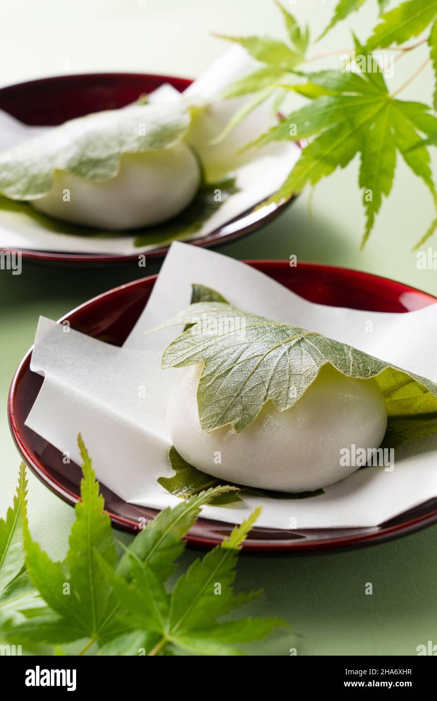 Kashiwa Mochi (rice cake) placed on a green background. Kashiwa Mochi ...