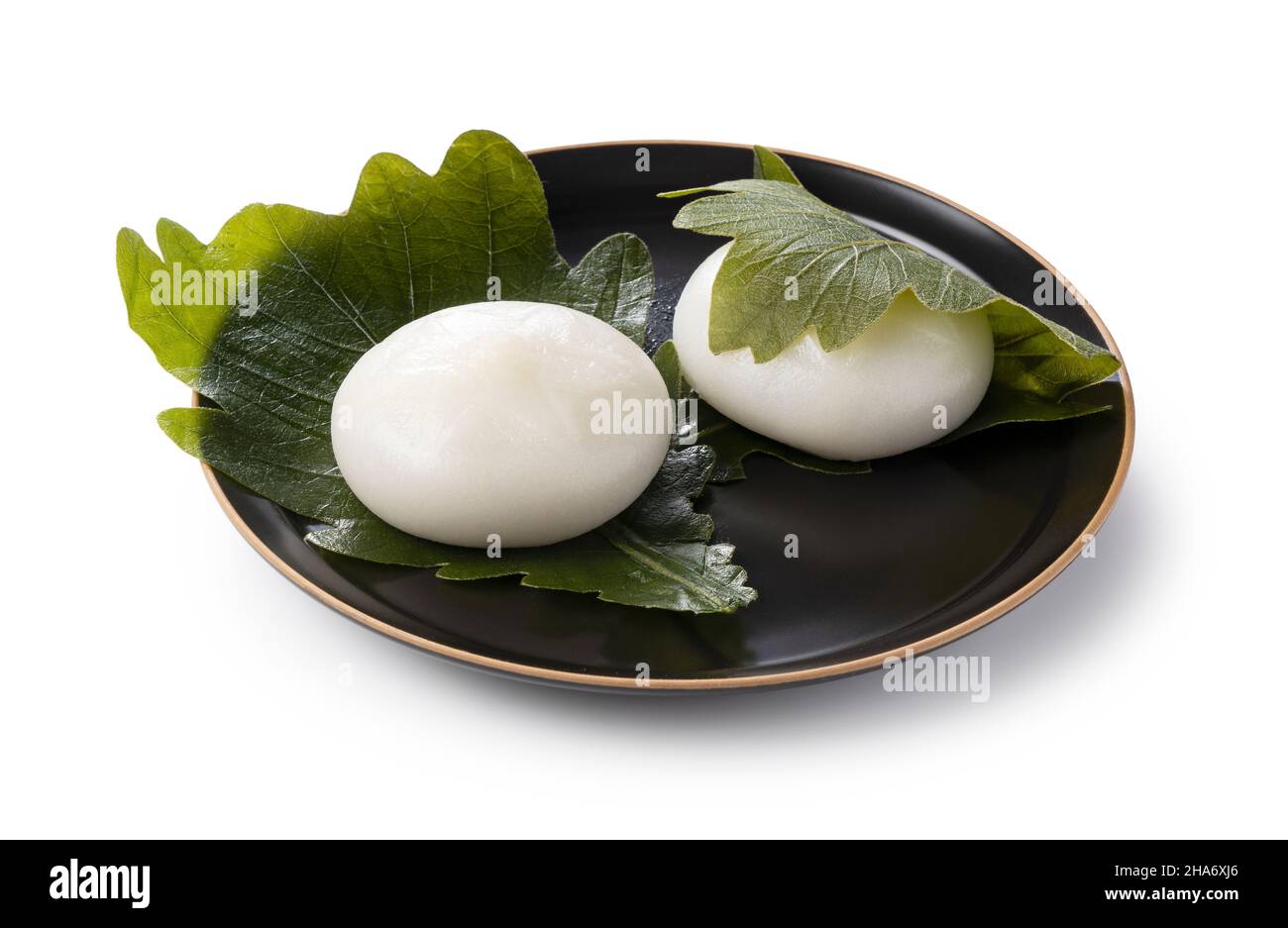 Kashiwa-mochi rice cake placed on a white background. Kashiwa Mochi is ...