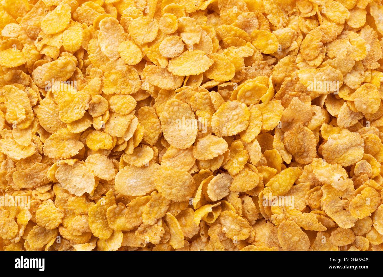 Cornflakes all over the screen. View from above. Food background Stock ...