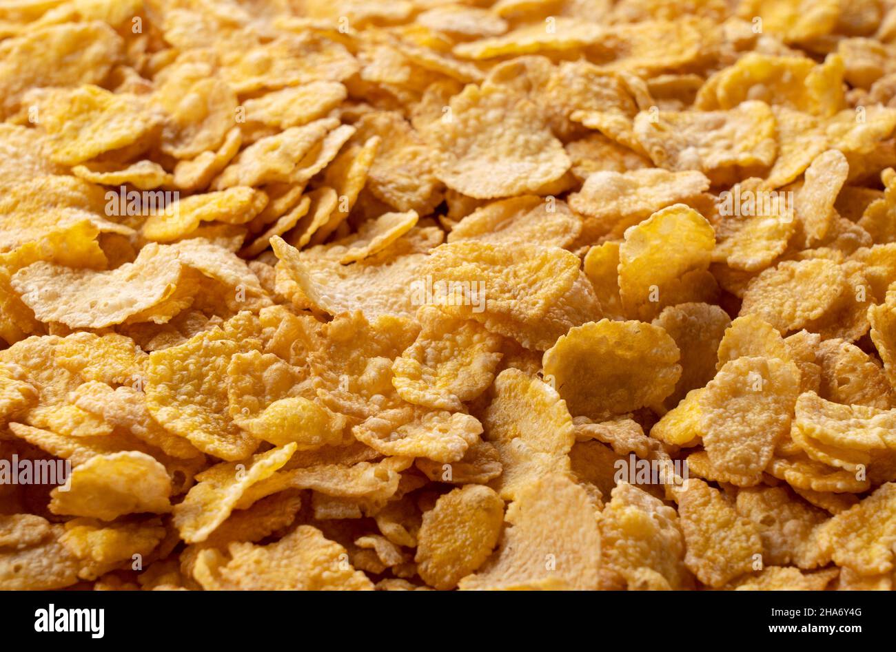 Cornflakes all over the screen. Close-up photo Stock Photo - Alamy