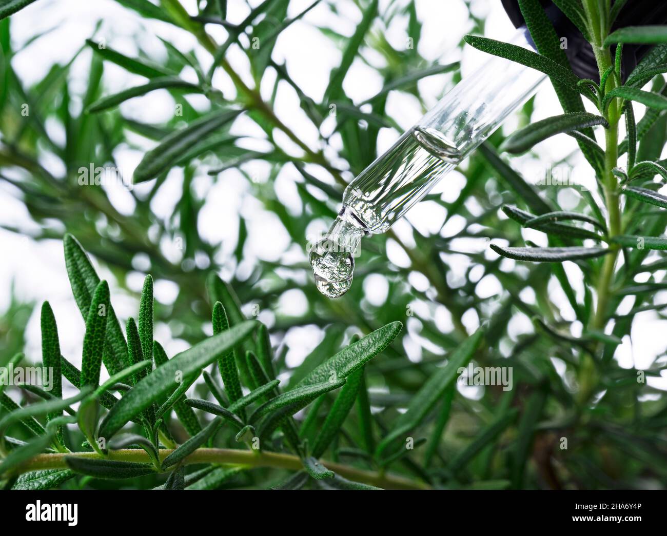 Dripping oil spa hi-res stock photography and images - Alamy