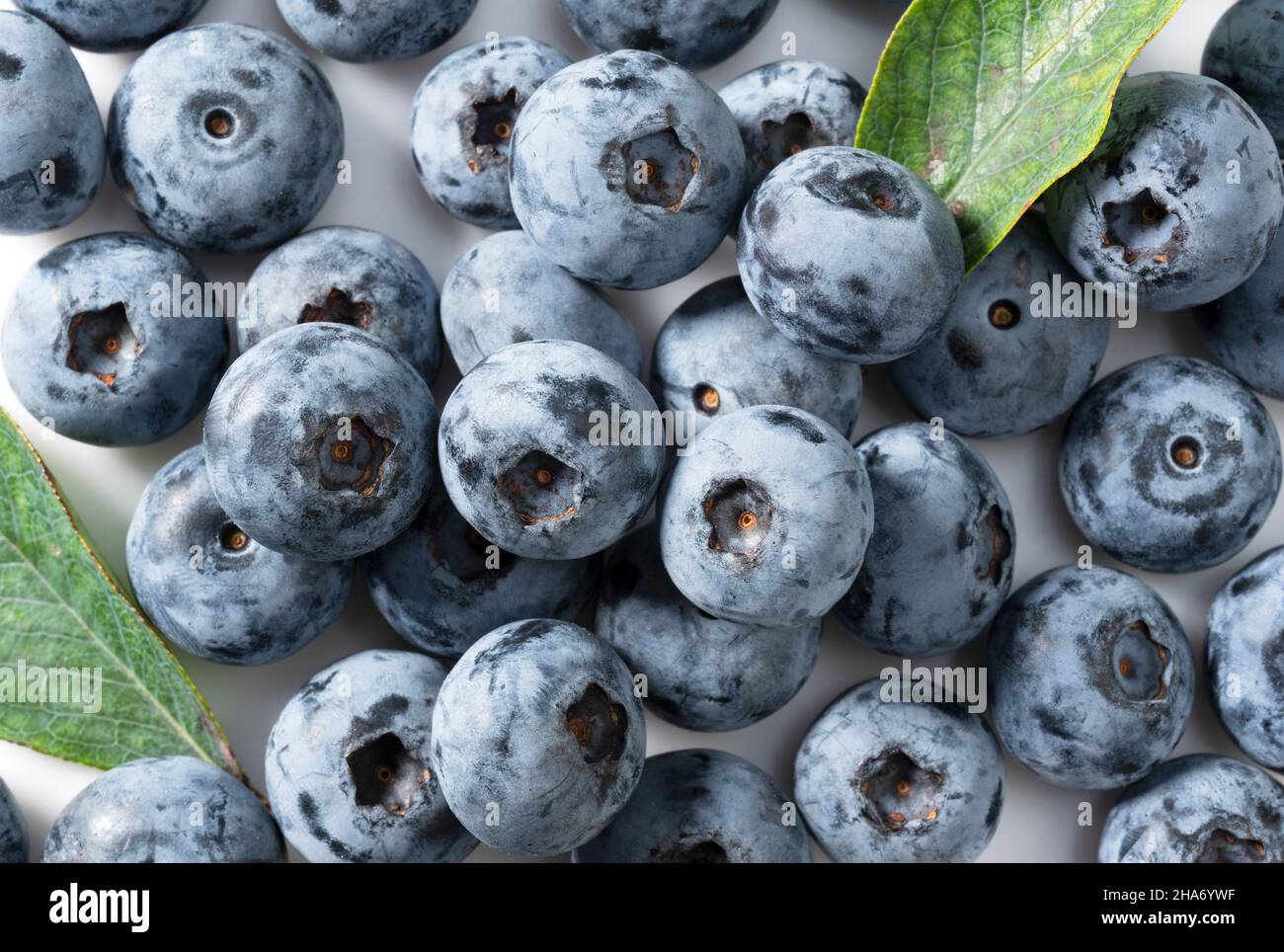 Blueberries and blueberry leaves on a white background. View from ...