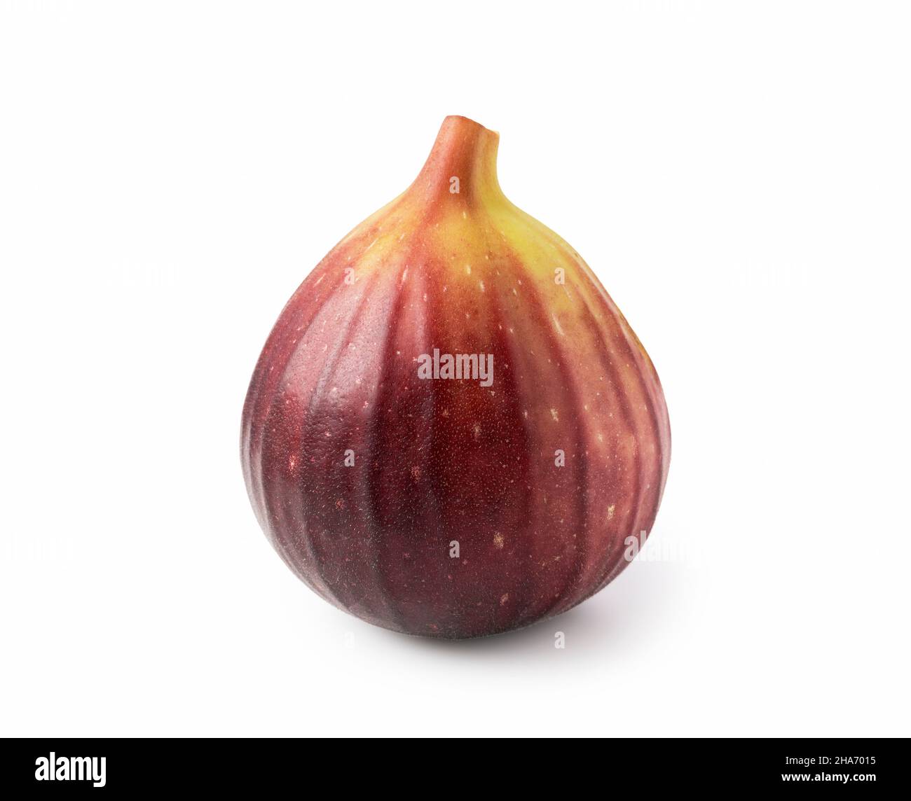A single fig placed on a white background Stock Photo - Alamy