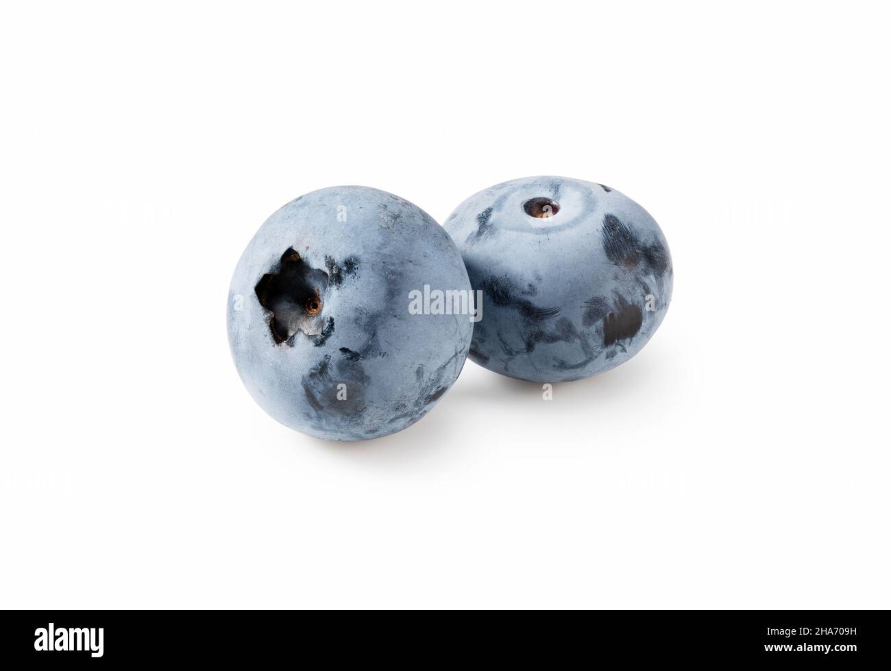 Two blueberries on a white background Stock Photo - Alamy
