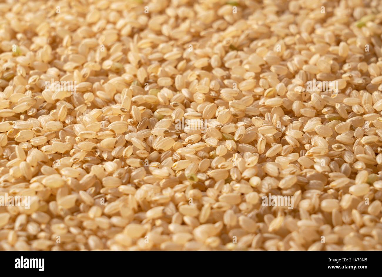 Brown rice spread over the entire screen. Food background Stock Photo ...