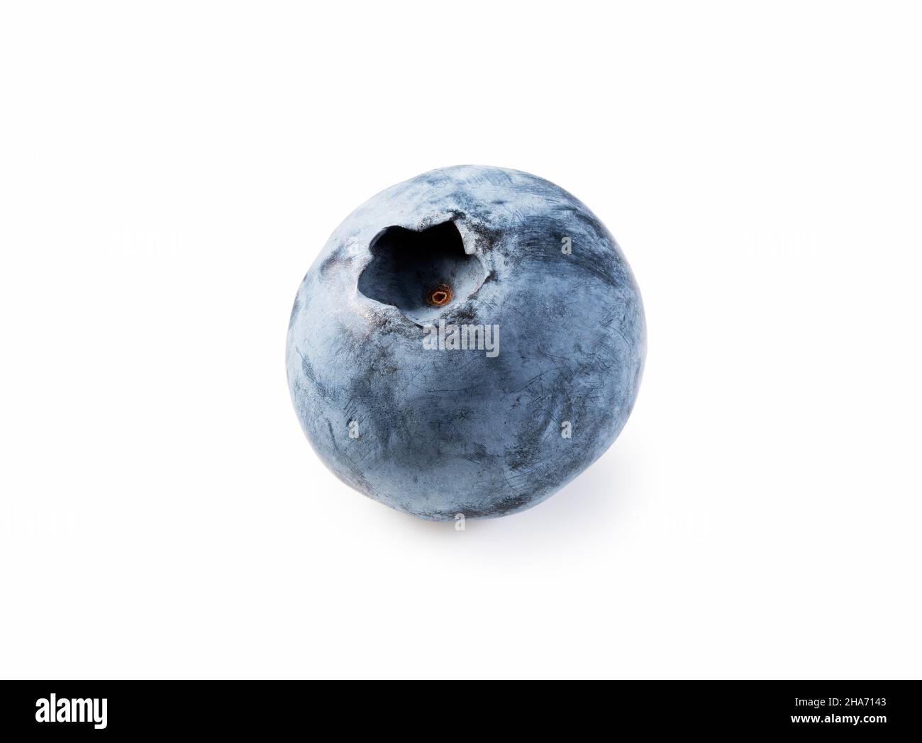A single blueberry on a white background Stock Photo - Alamy