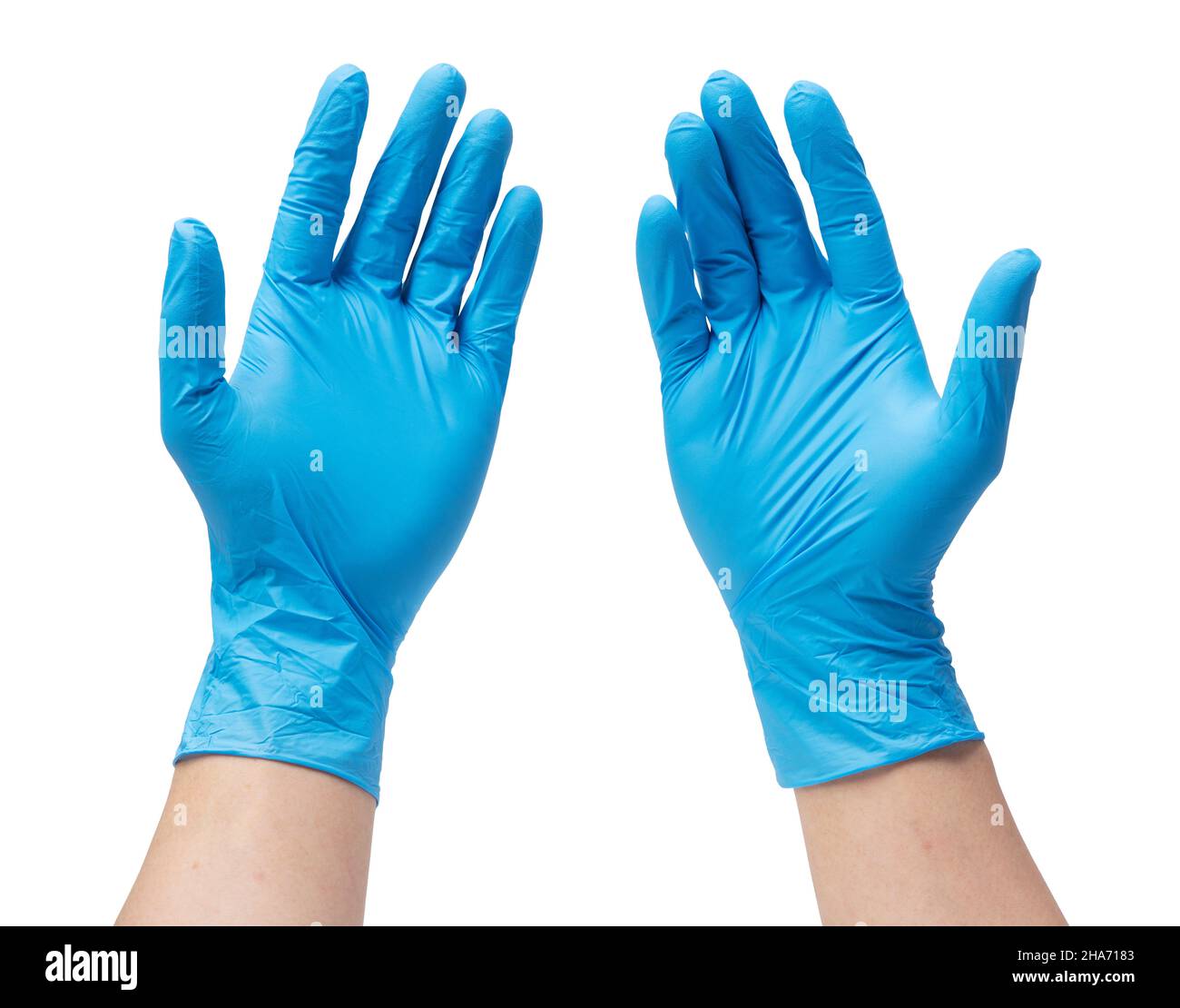 Two hands of a man wearing nitrile gloves on a white background Stock ...
