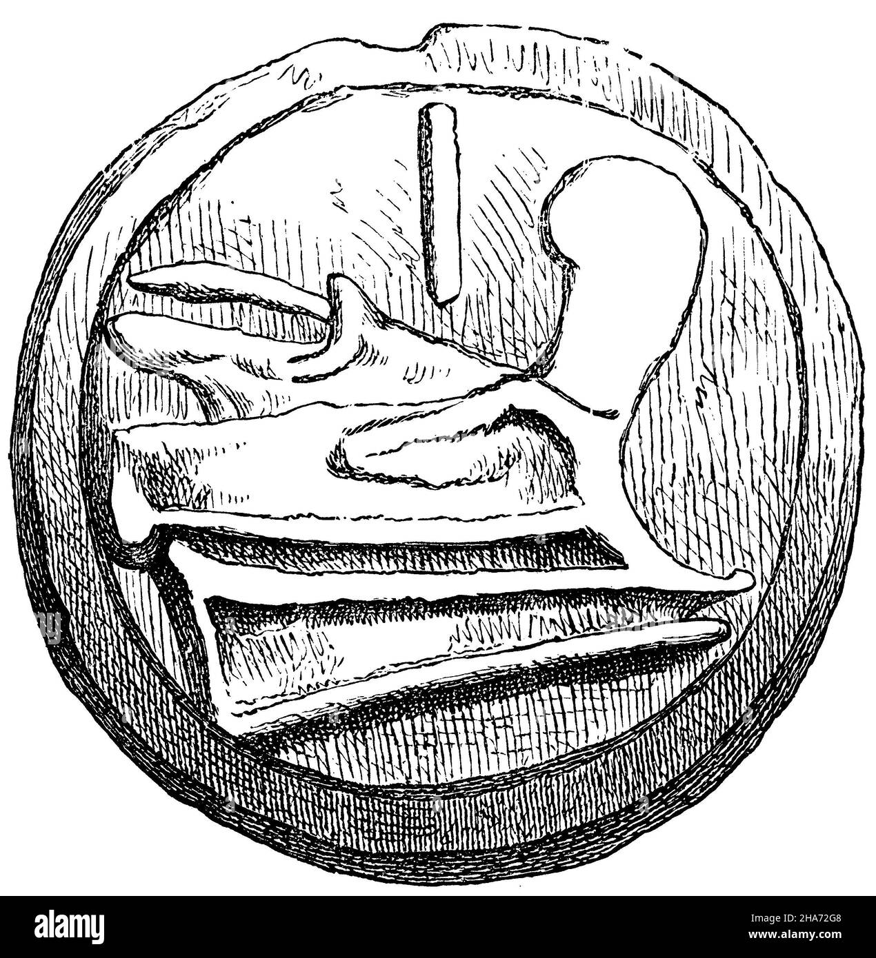 Coin: Oldest roman copperas, , (encyclopedia, 1893 Stock Photo - Alamy