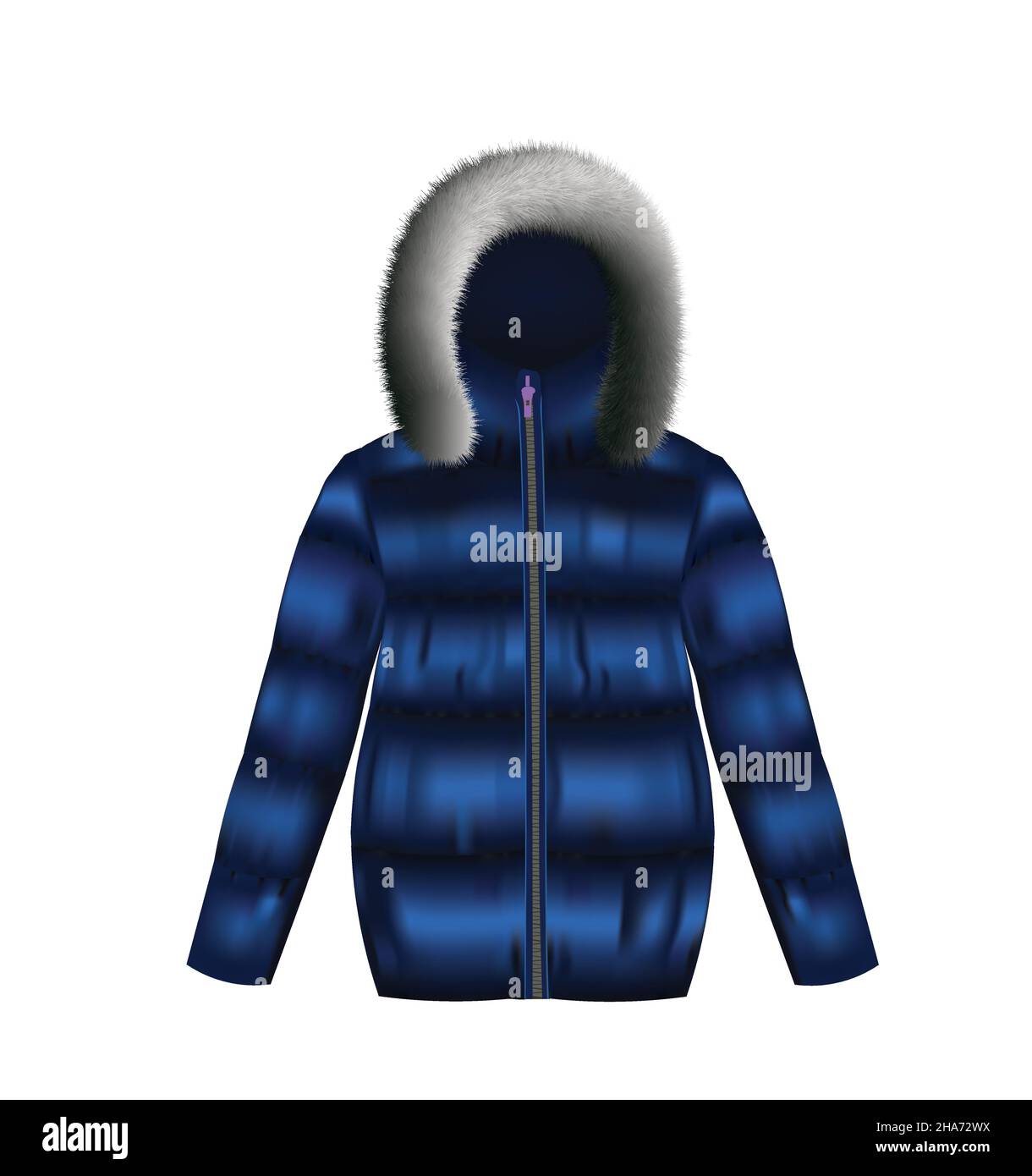 Blue puffer jacket. vector illustration Stock Vector Image & Art - Alamy