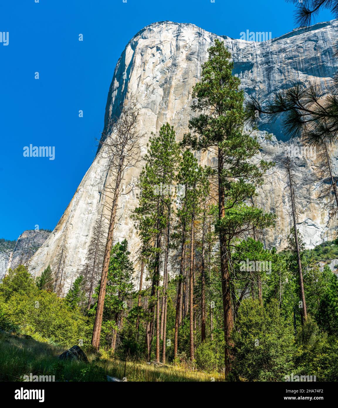 Yosemite landscape hi-res stock photography and images - Alamy