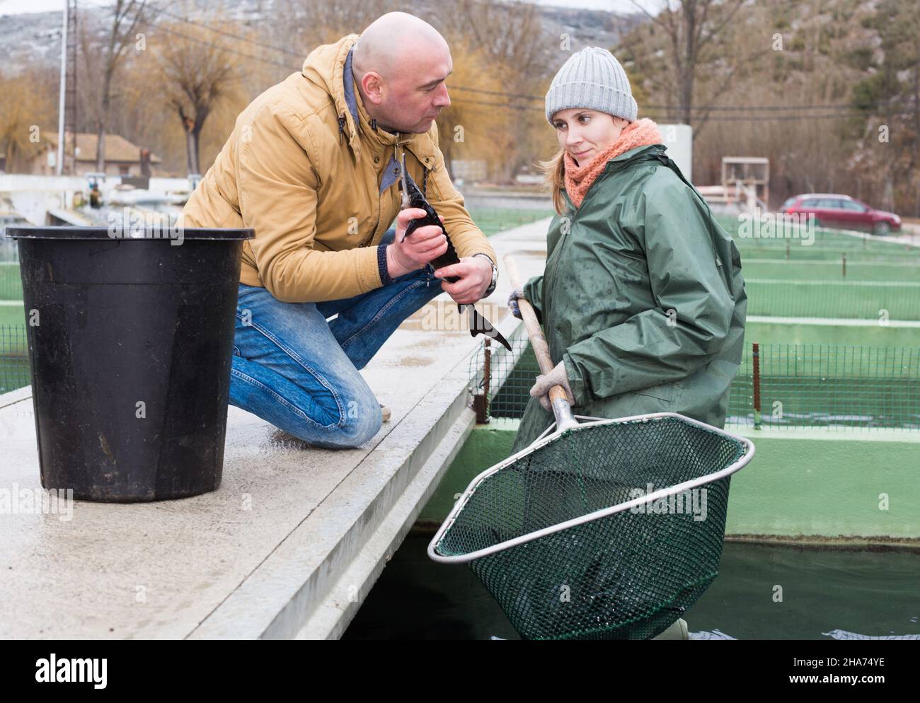 Man owner of sturgeon farm with female worker inspecting fish in tank ...