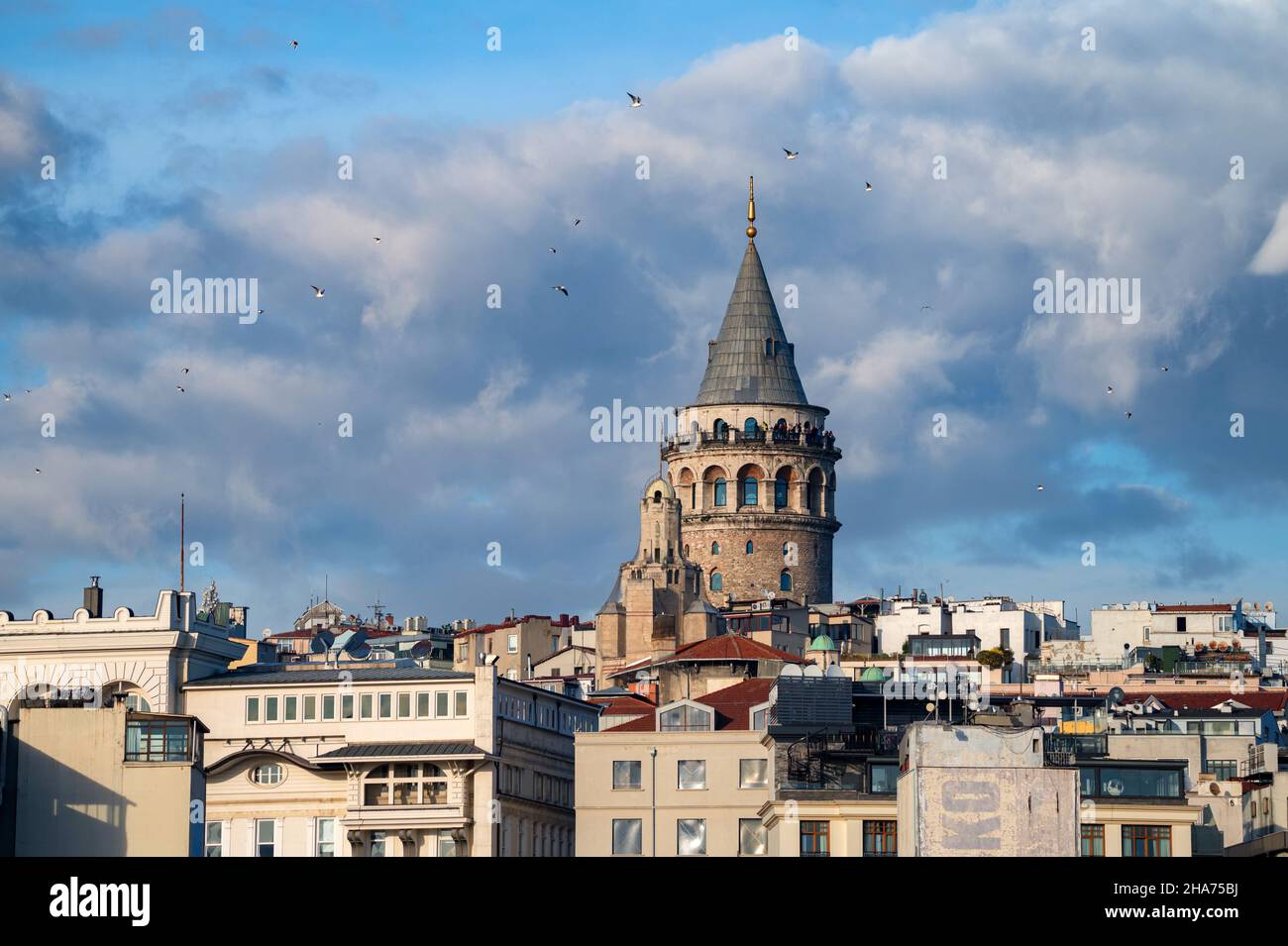 Istanbul cityscape in Turkey with Galata Tower, 14th-century city ...