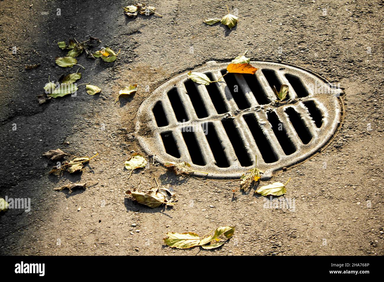 Sewer hatch grid. Drain collector cover. Canalisation collector Stock ...